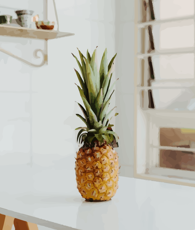 PNG Vs SVG What s The Difference Which One To Choose 
