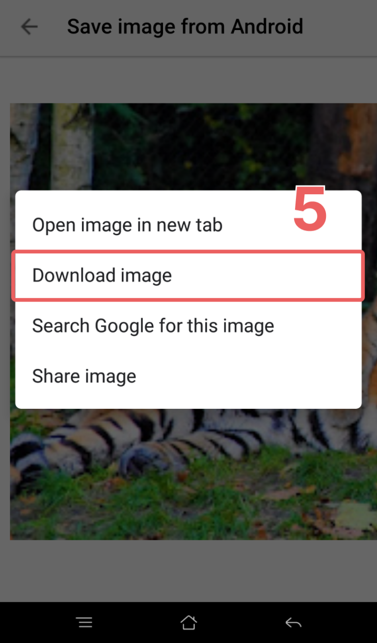 10 Ways to Save Images from Google Docs on Desktop and Mobile