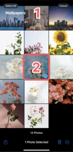 5 ways to view the size of a photo on iPhone and iPad