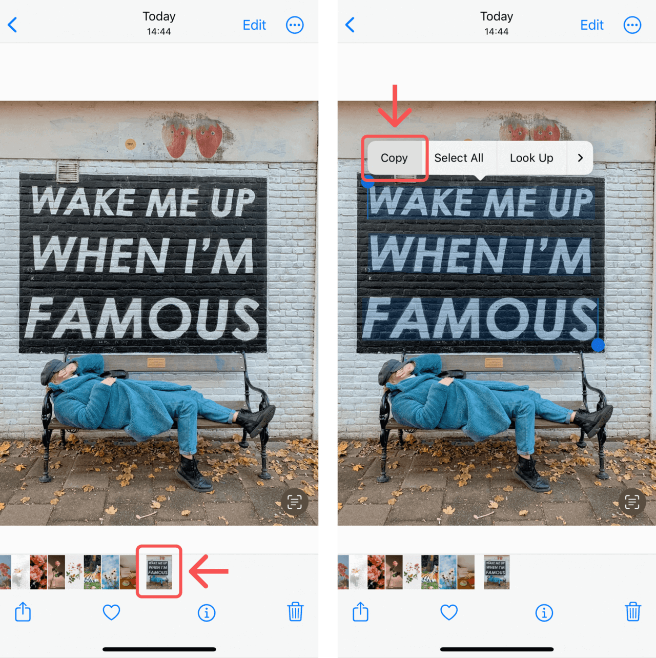 3 Effective Ways to Convert a Picture to Text | ImageSuggest