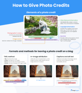 What is a Photo Credit and How to Do It Properly